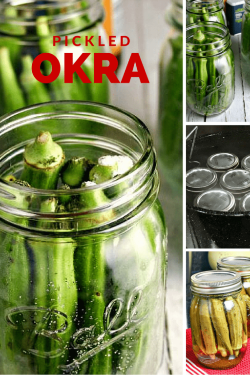 Pickled Okra - Life, Love, and Good Food