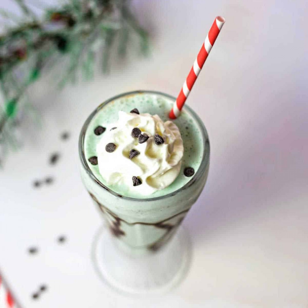 Mint Chocolate Chip Milkshake - Life, Love, and Good Food