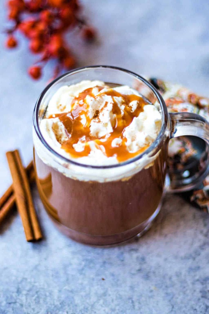 Hot Spiced Apple Cider Recipe - Life, Love, and Good Food