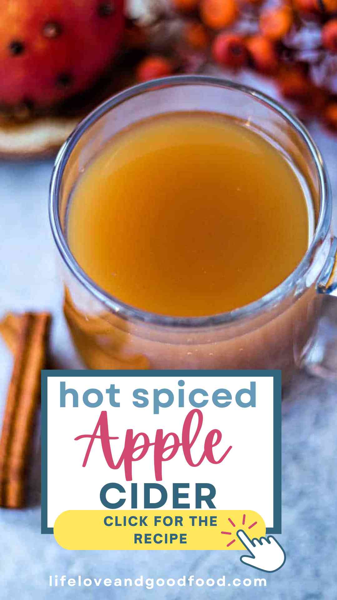 Hot Spiced Apple Cider Recipe - Life, Love, and Good Food