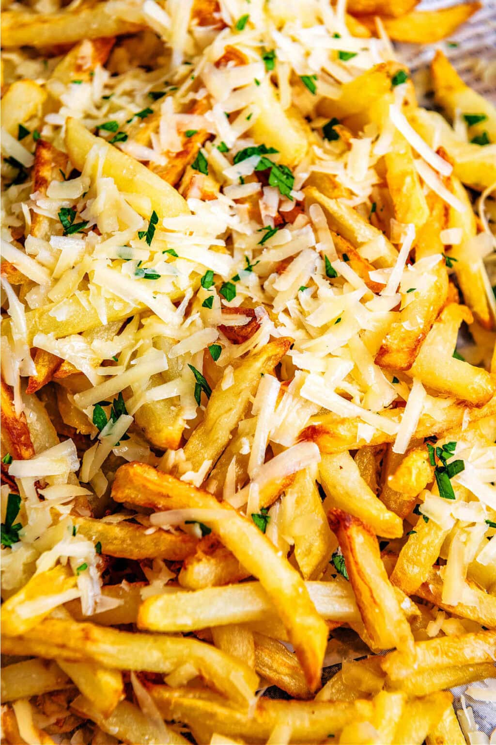 Air Fryer Parmesan Truffle Fries - Life, Love, and Good Food