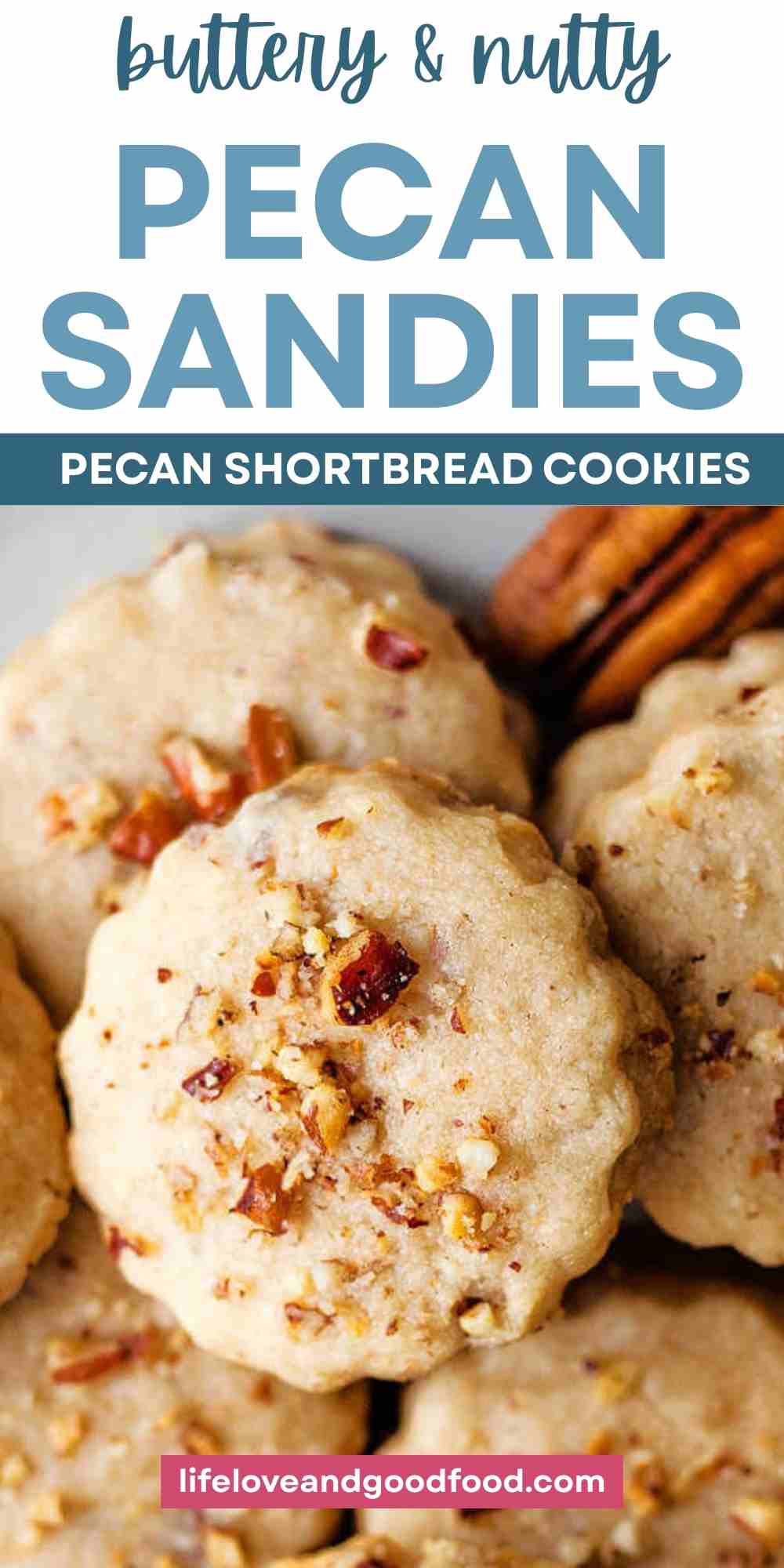 Pecan Shortbread Cookies - Life, Love, and Good Food